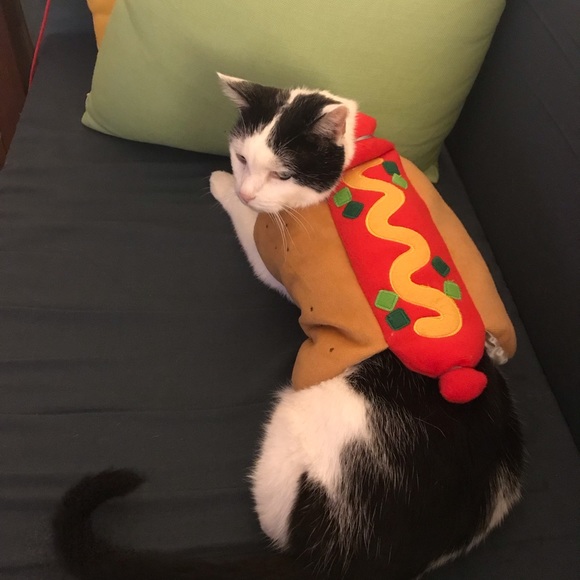 Accessories | Sushi Dinner 18th Birthday | Poshmark